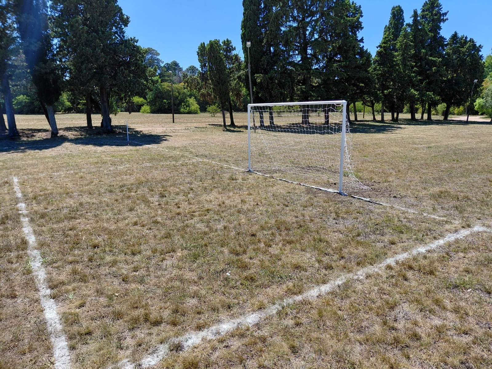 Lista para disfrutar: quedó pronta la cancha de fútbol en Parque El ...